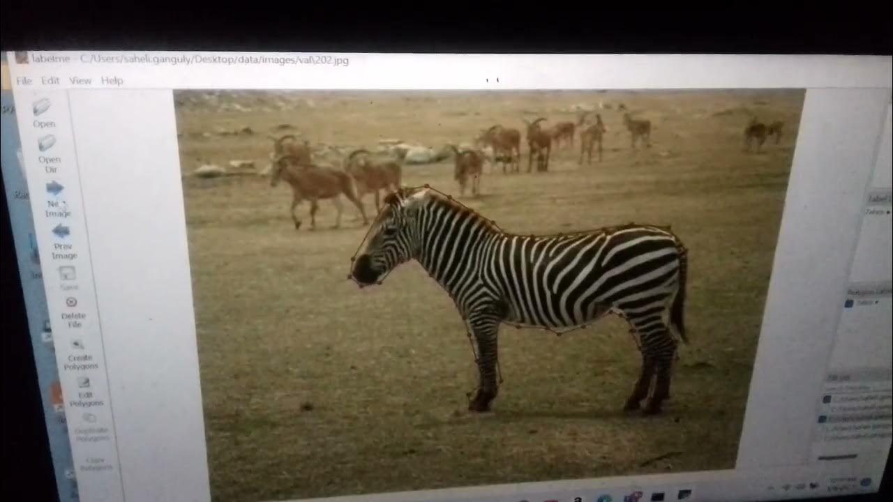 data annotation for semantic segmentation and instance segmentation ...