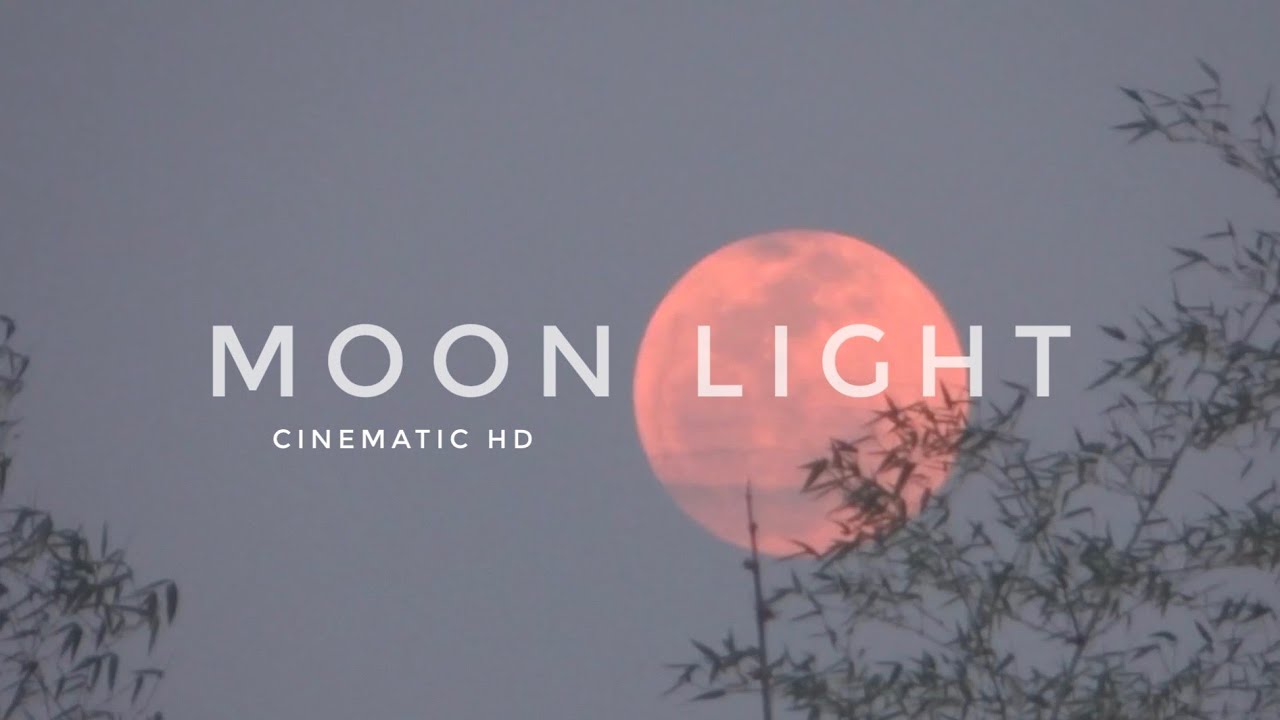 Moonlight. Astro videography. Time lapse @bangladeshgeography #nature # ...