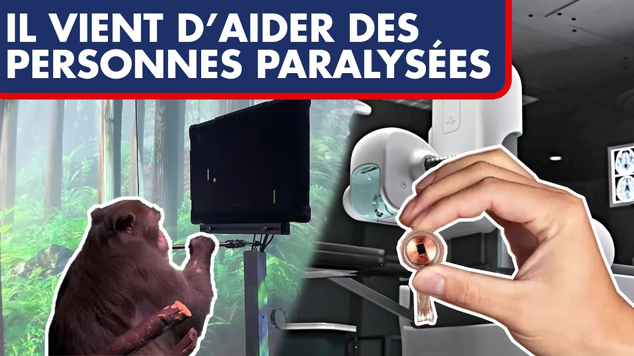 NEURALINK : Pager, le singe qui joue à Pong avec sa PENSÉE | Math ...