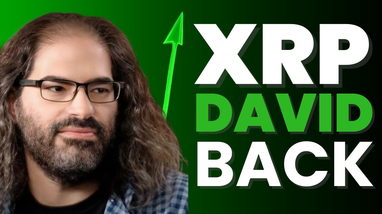 XRP David is BACK *Huge Update* - YouTube
