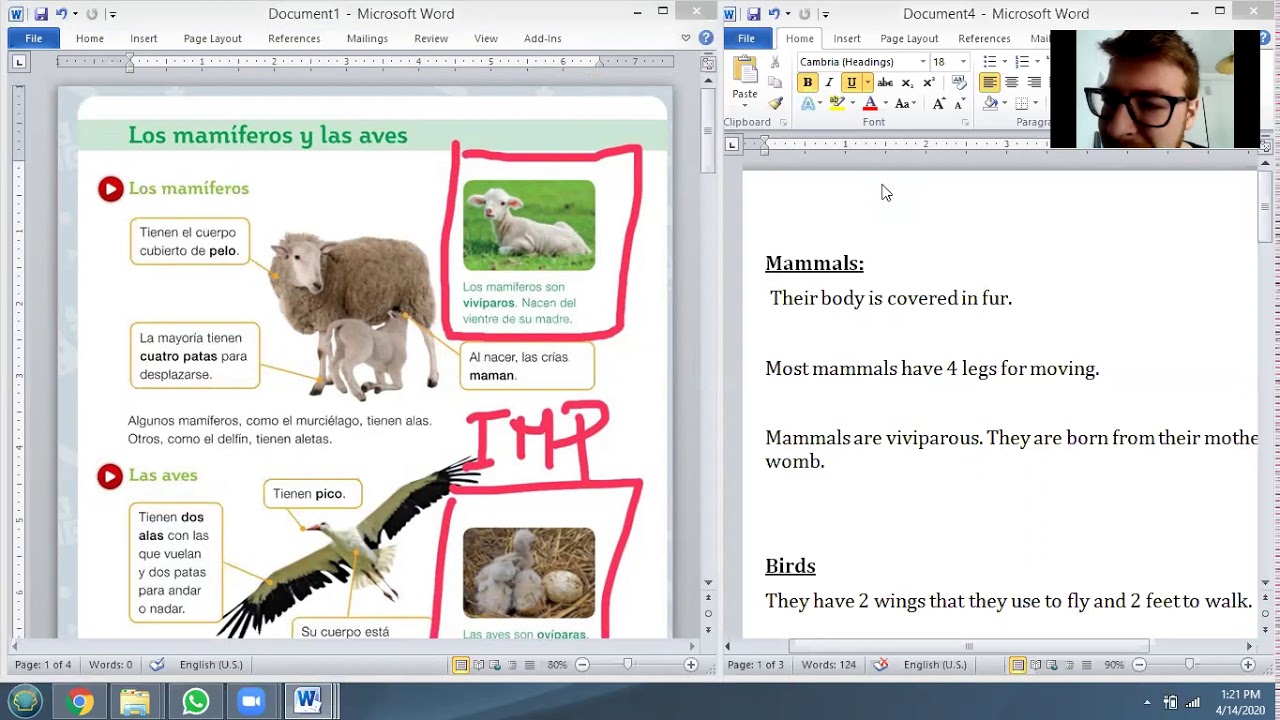 Bilingual class by Colin Tipton - YouTube