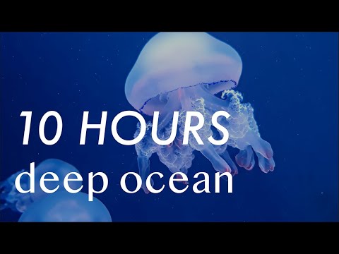 10 Hours Ocean Sounds for Deep Sleep HD | White Noise, Underwater ...