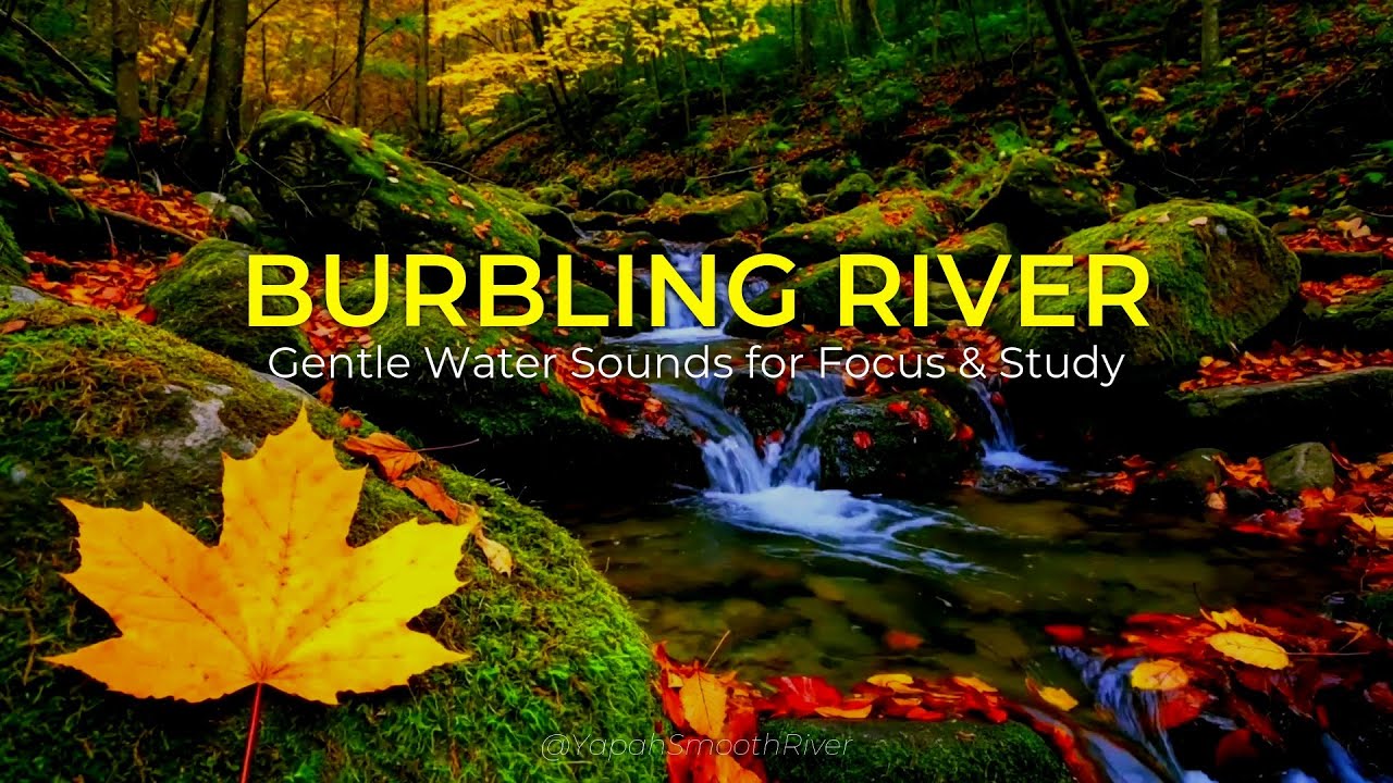 BURBLING RIVER - Gentle Water Sounds for Focus & Study - YouTube