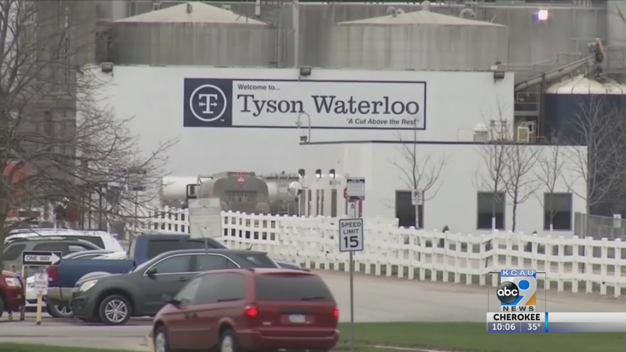 Waterloo Tyson plant sees increasing COVID-19 cases - YouTube
