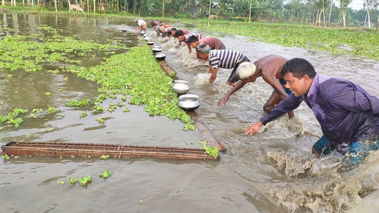 Most Unique Village Fishing Culture in Flood Water | Country Fish ...