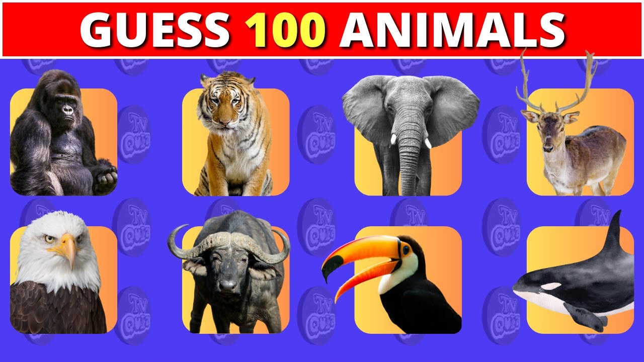 Animal Challenge: Guess 100 Animal Names in 3 Seconds! Easy, Medium ...