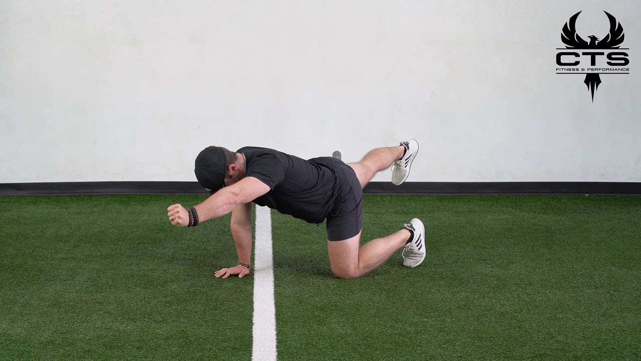 Birddog ISO Hold - YouTube