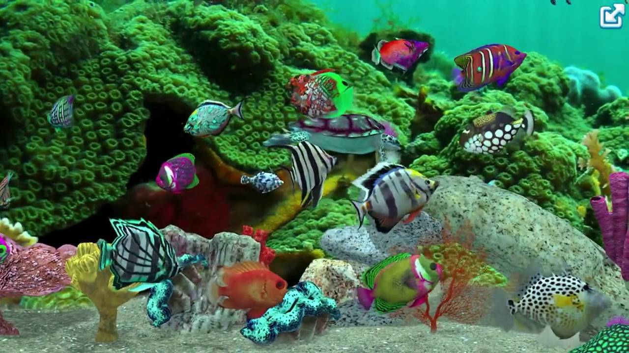 Fish Farm 3 - My Saltwater Aquarium (11/02/2020) - YouTube