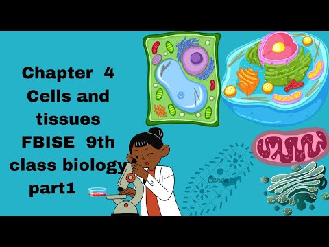 Chap 4 cells and tissues part 1 FBISE 9 Class biology.. - YouTube
