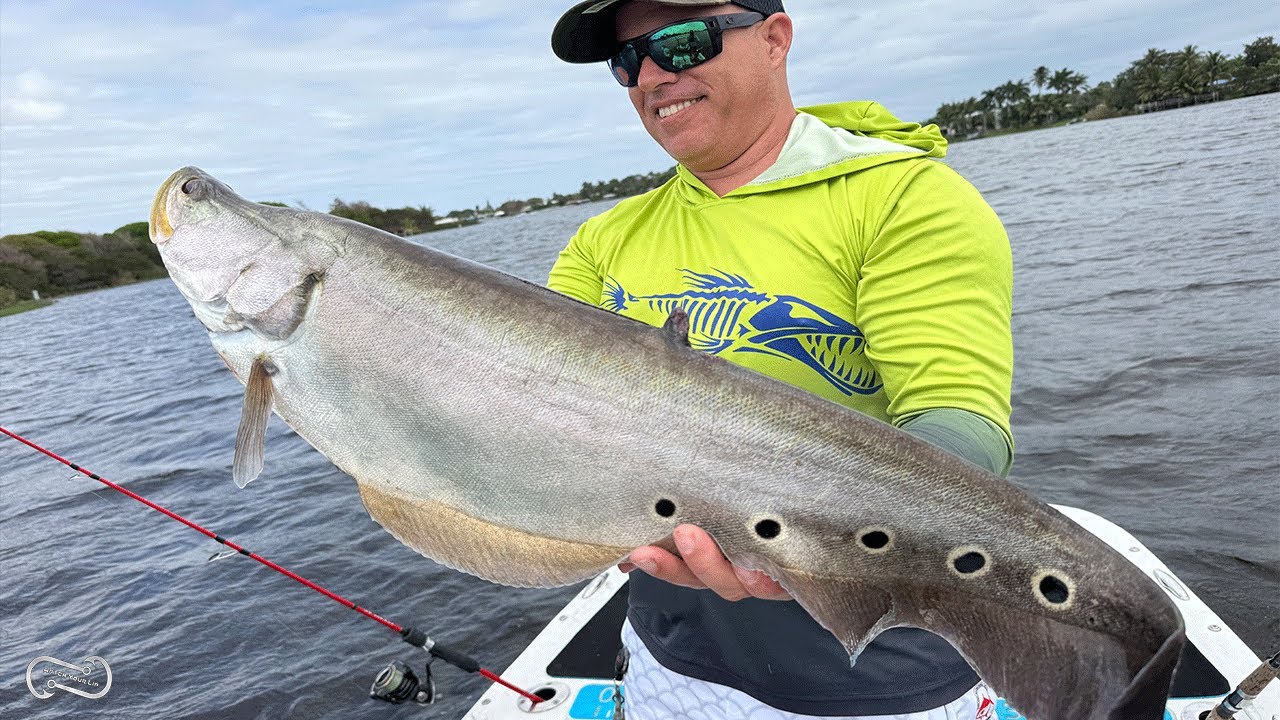 HUNTING CLOWN KNIFE FISH WITH TECNICAS DE PESCA Y MAS - YouTube