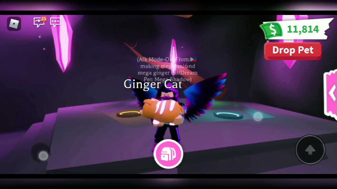 Making a Mega Neon Ginger Cat||Roblox Adopt Me||StephieeePlays - YouTube