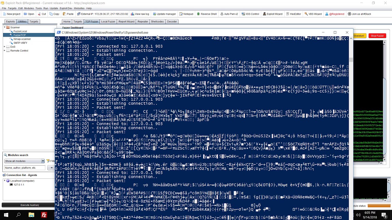 Exploit Pack - Tutorial #3 - Fuzzing for zero-days with Exploit Pack ...