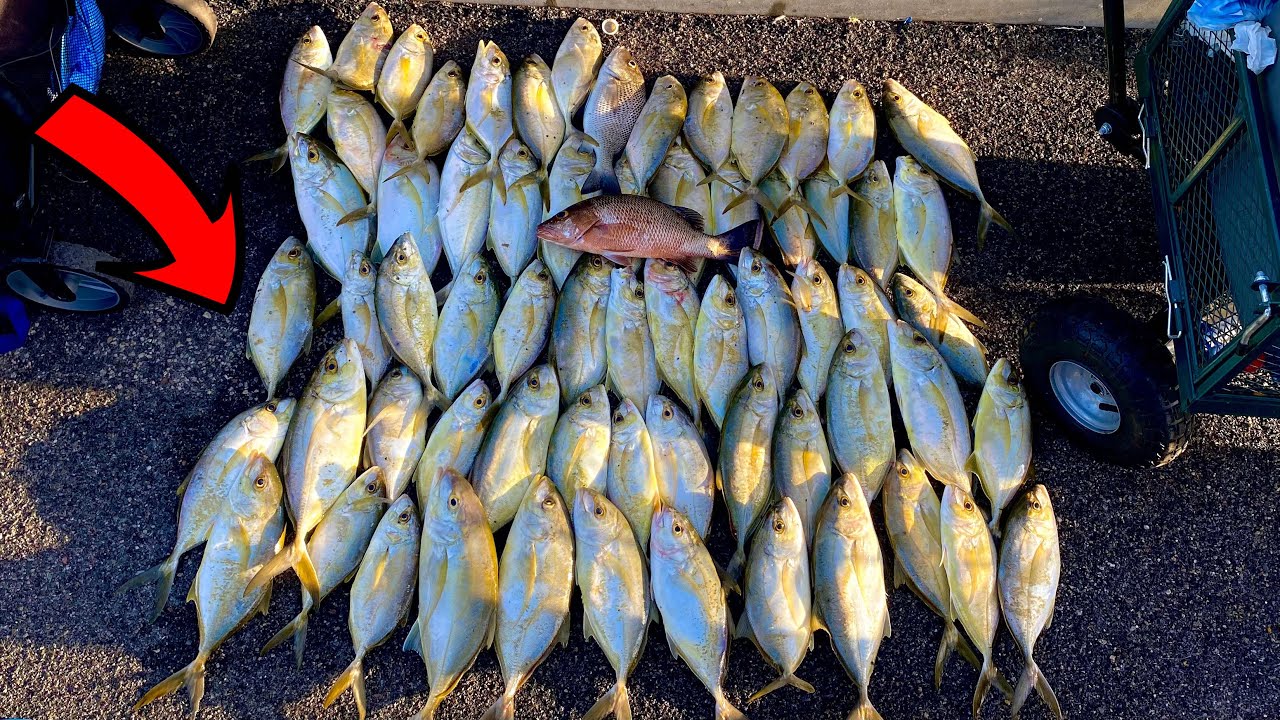 Cooler FILLED with Fish!! (Bridge Fishing in the FL Keys) - YouTube