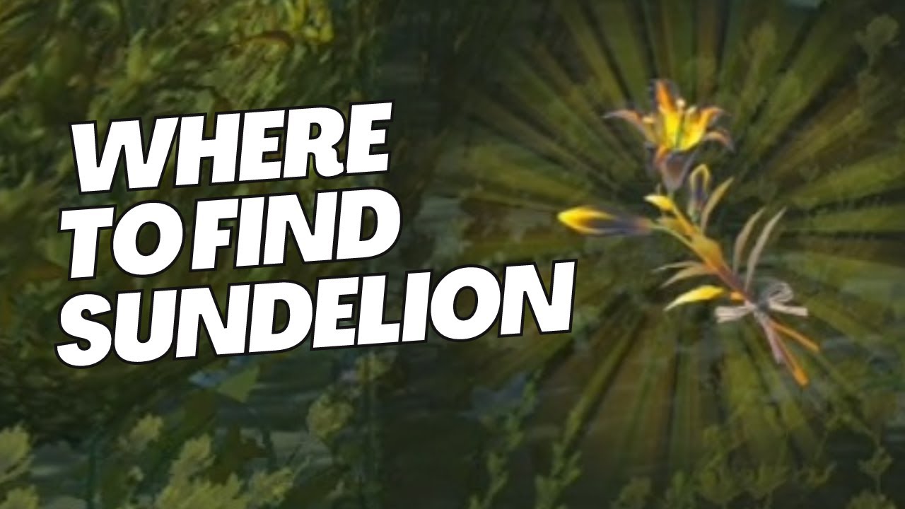 Where to find Sundelions - Legend of Zelda Tears of the Kingdom - YouTube