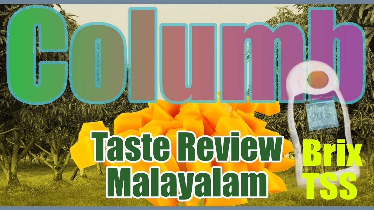 EP-17 Columb mango quick review in Malayalam TSS BRIX - YouTube