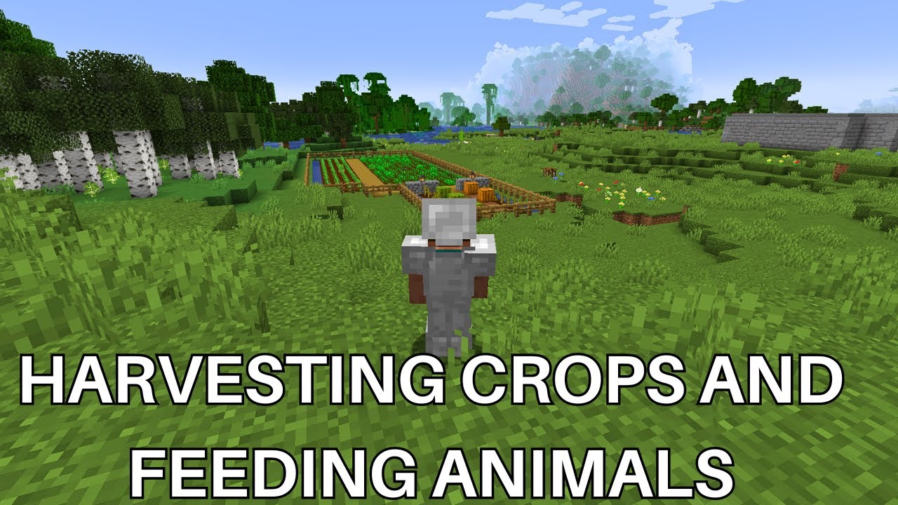 Minecraft Survival - Harvesting Crops and Feeding Animals - No ...