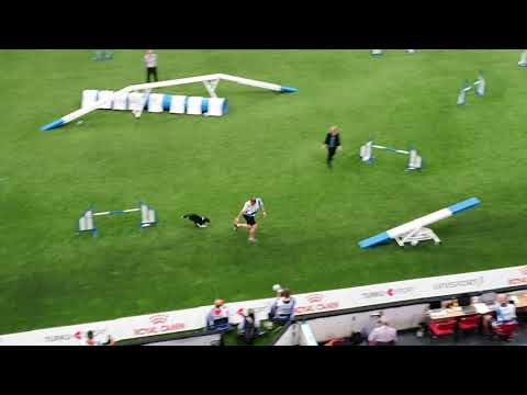 RIU Traj Tamas Large Agility AWC 2019