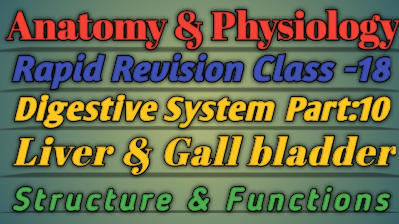 Liver # Gall Bladder # Structure & Functions of liver & gall bladder # Digestive System Revision ...