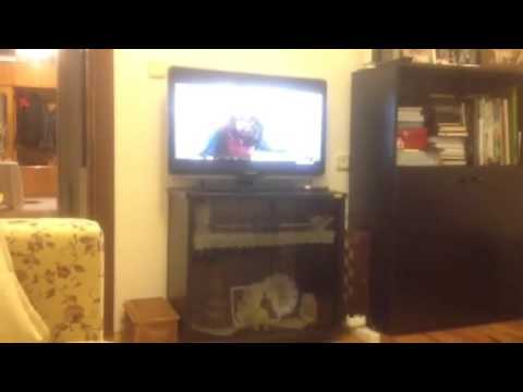 çocuk pezevenk maykılın son tv saldırısı (mı acaba?)