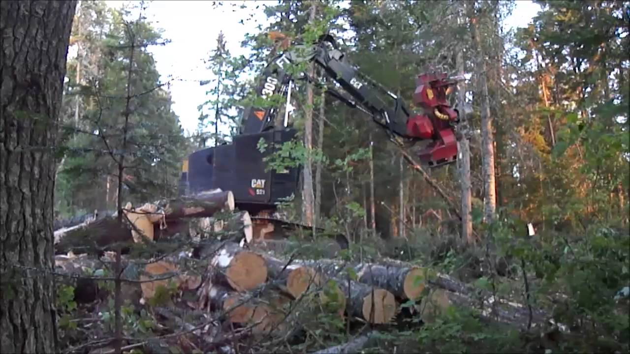 Fixed Head Processor - YouTube