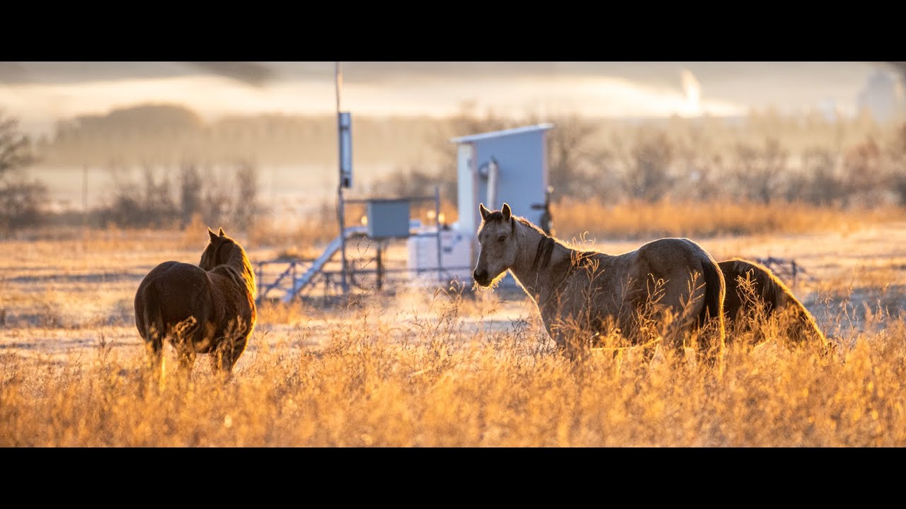 Northern Alberta November 20, 2024 - YouTube