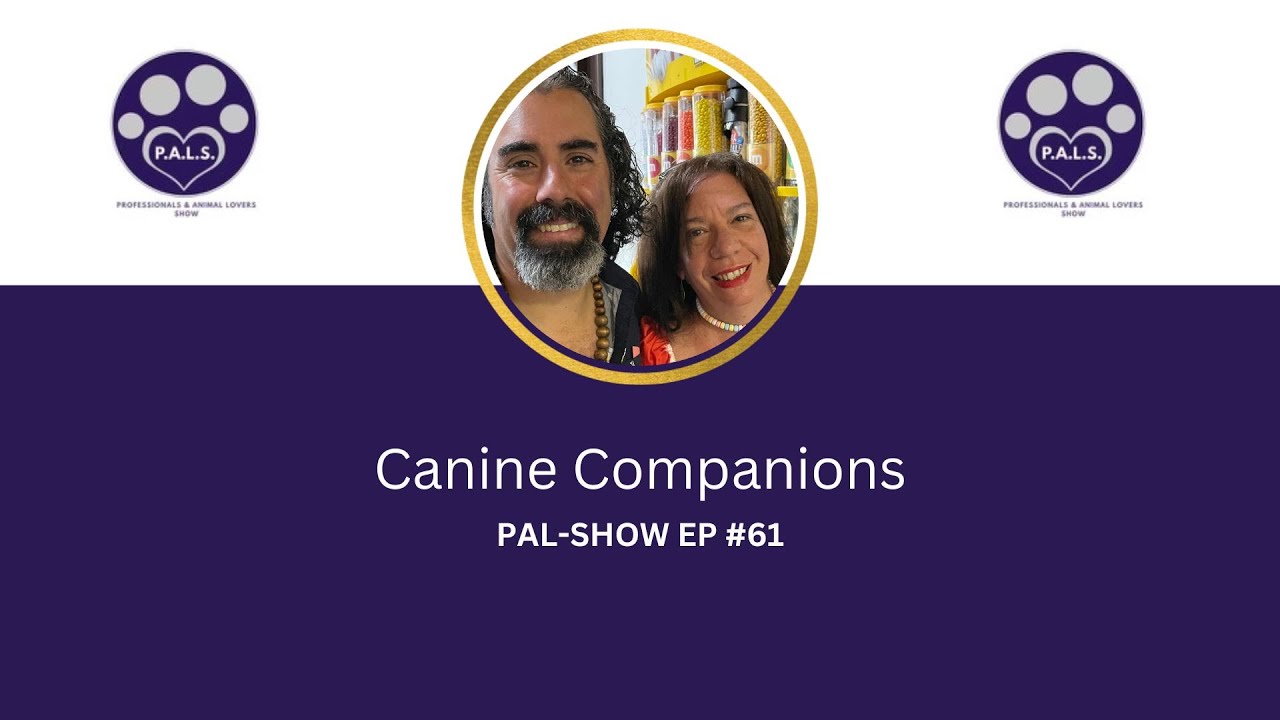 PAL-SHOW EP #61- Canine Companions - YouTube