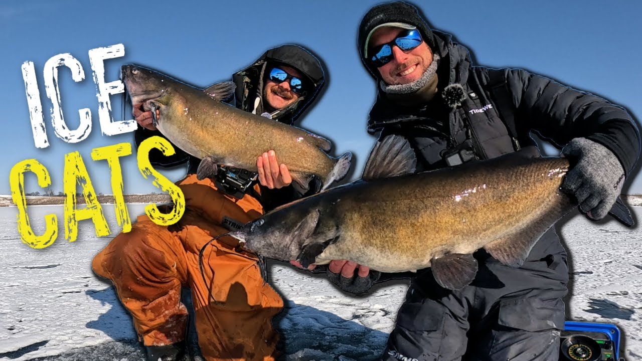 Catching 20+ Pound CATFISH Through the ICE!! - YouTube