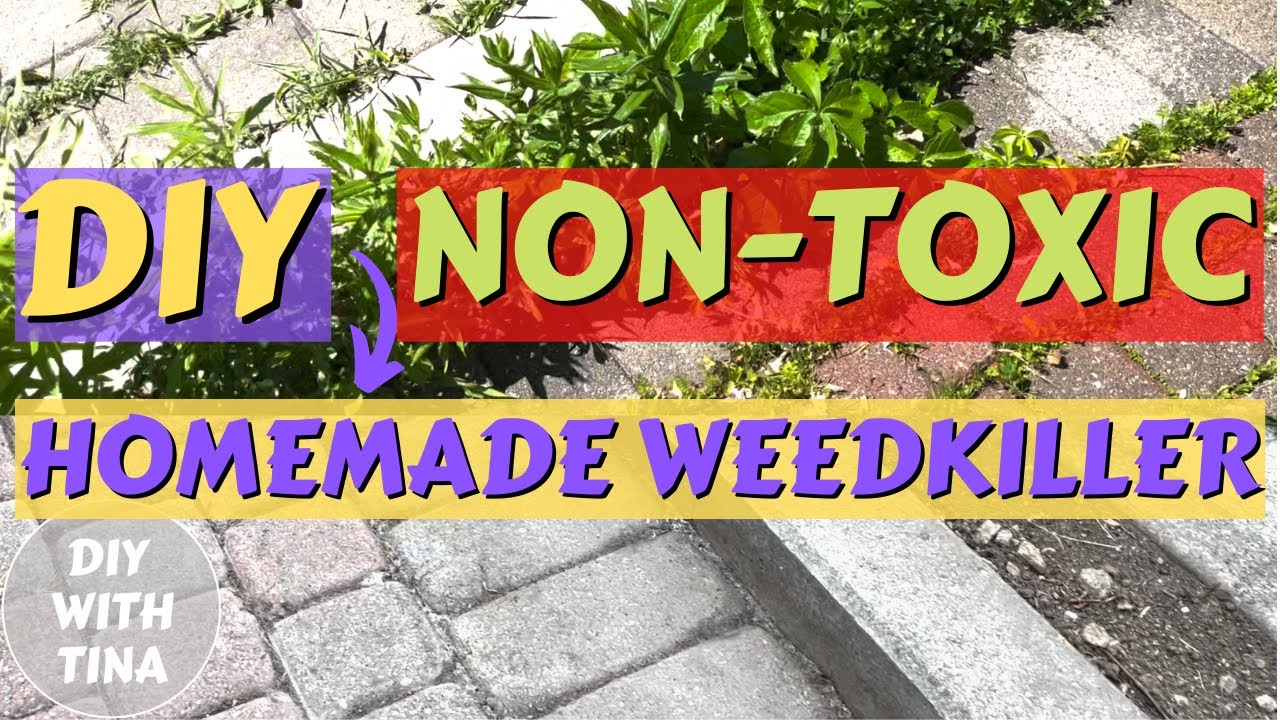 DIY non-toxic homemade weed killer | Weed killer spray DIY with 3 ...