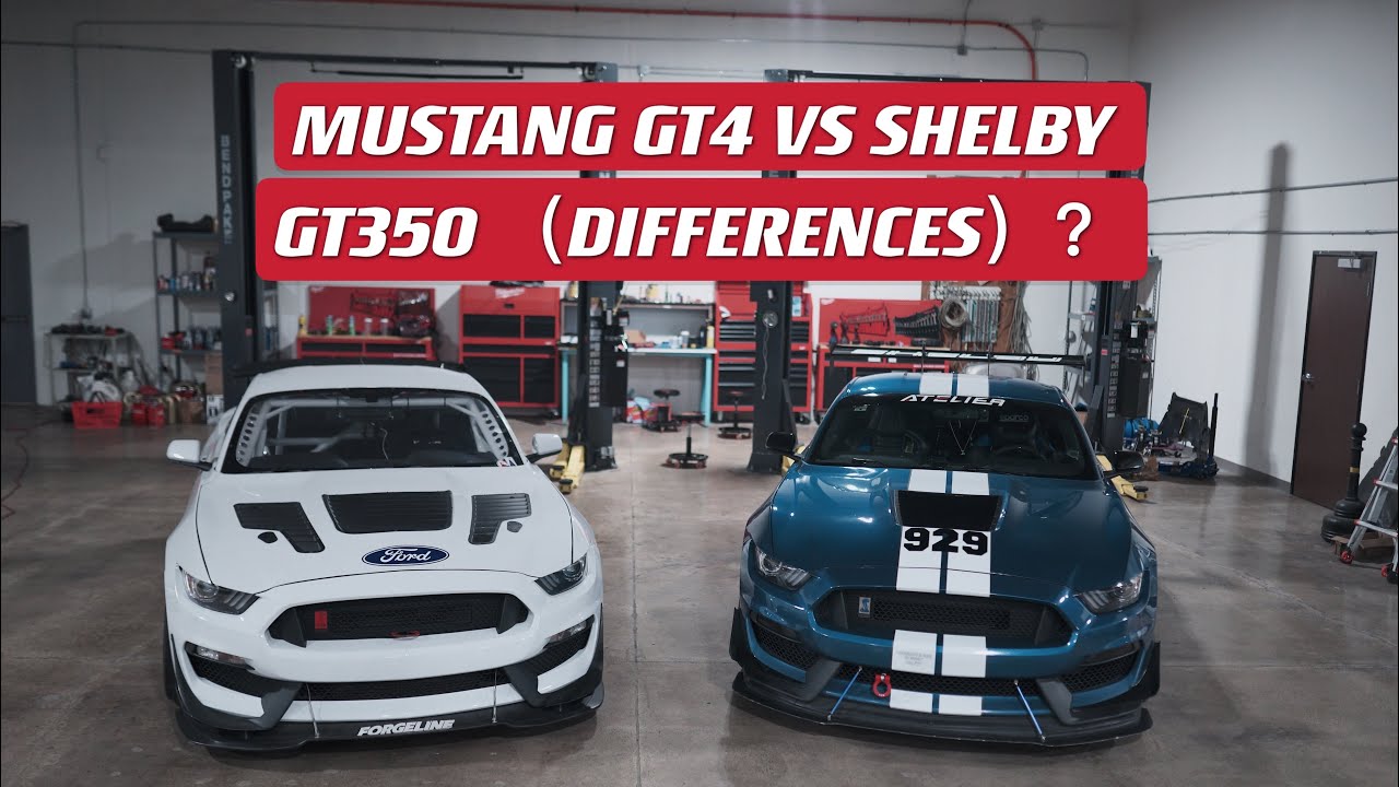 Mustang GT4 vs Shelby GT350? 区别在哪 （eng subtitles coming soon) - YouTube