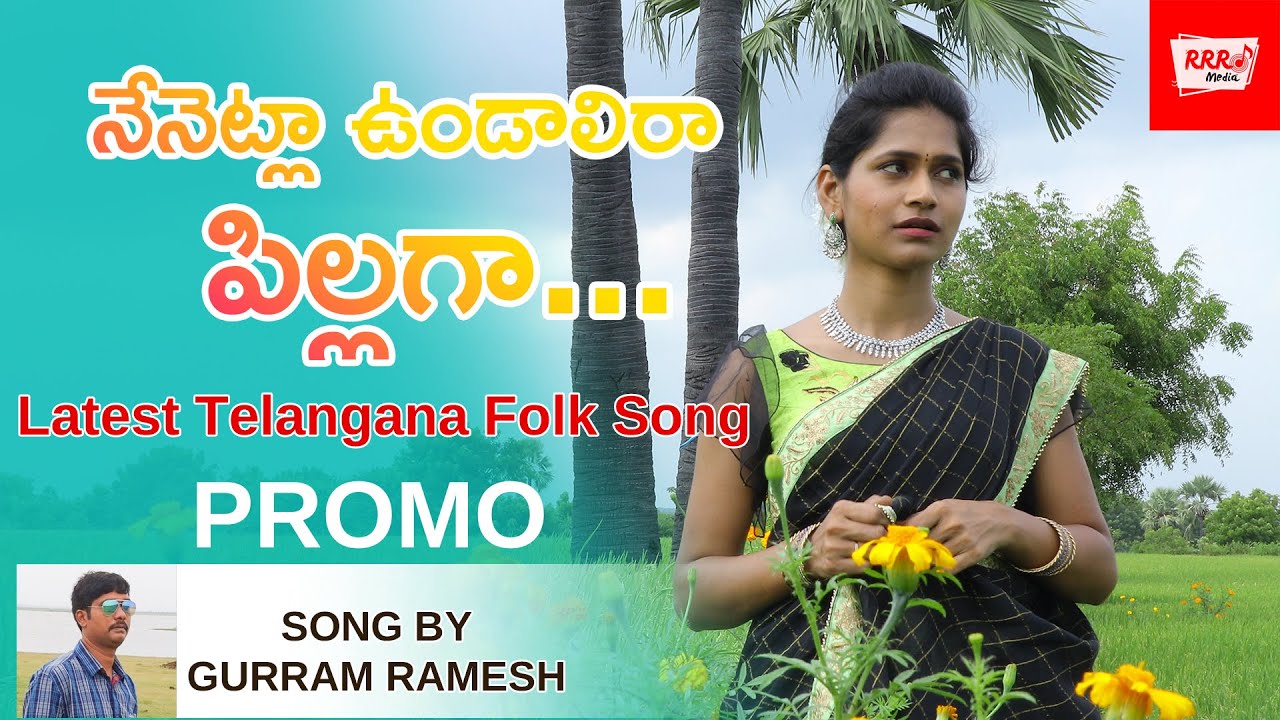 Nenetla Undaali Raa Pillaga Latest Telugu Folk Song Promo by Gurram ...