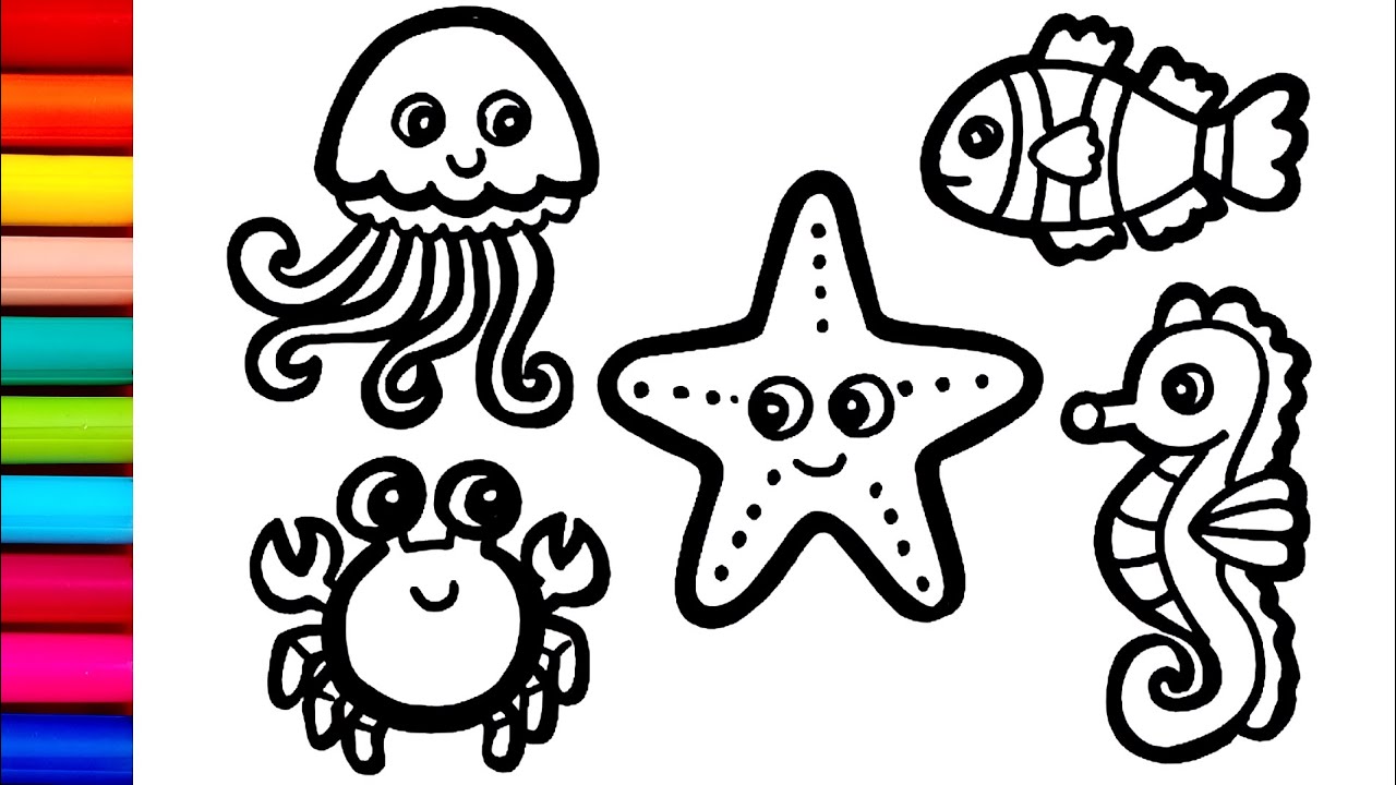Sea Animals Drawing | How to Draw Sea Animals || Fish Drawing - YouTube