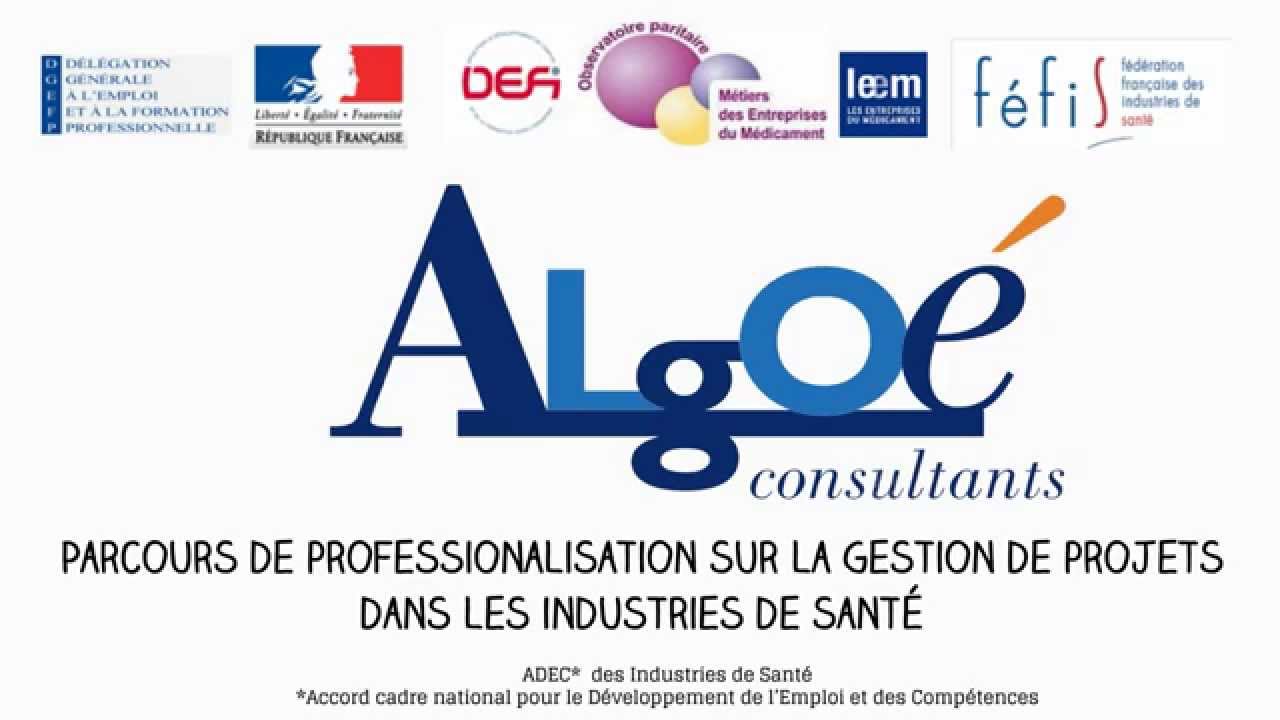Formation gestion de projets - Algoé Consultants - YouTube