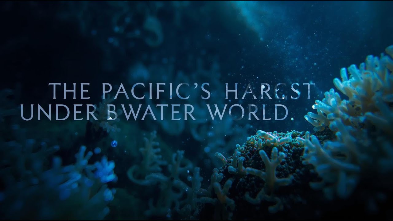 The Pacific’s Harshest Underwater World | Relaxing Bedtime Documentary ...