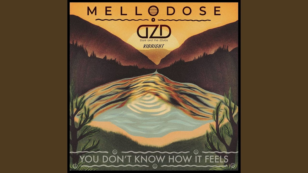 Mellodose x Vibright x Dale and the ZDubs - You Don't Know How It Feels ...