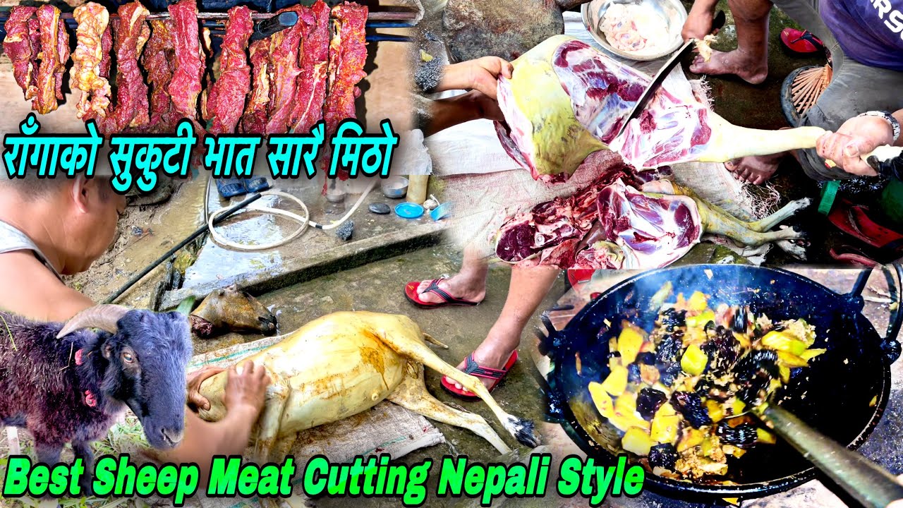 20 KG BEST SHEEP MEAT CUTTING IN NEPALI VILLAGE | BUFFALO DRY MEAT ...