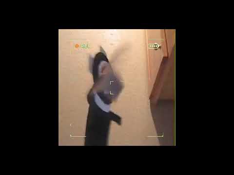 every content warning intro - YouTube