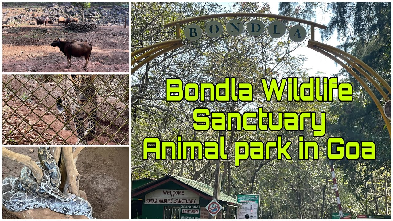 BONDLA WILDLIFE SANCTUARY || GOA || ANIMAL PARK #goavlogs #animals #zoo ...