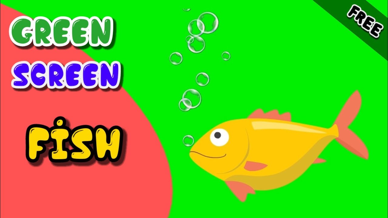Green Screen Fish | F for Fish | No Copyright Download For Free ...