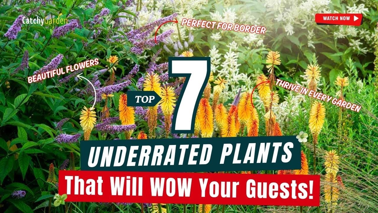 TOP 8 UNDERRATED PLANTS That Will WOW Your Guests! 🌷😲🌼 // Gardening ...