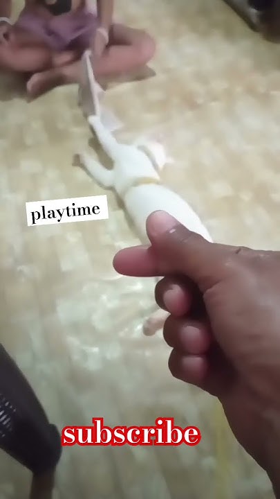 playtime my love potpot#shortvideo#musicviral - YouTube