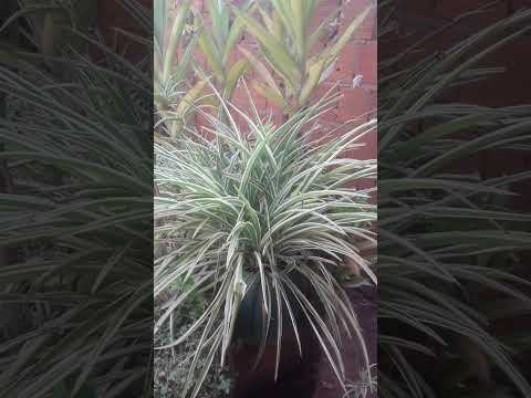 💞Essa mora🤗 no meu coração 💞