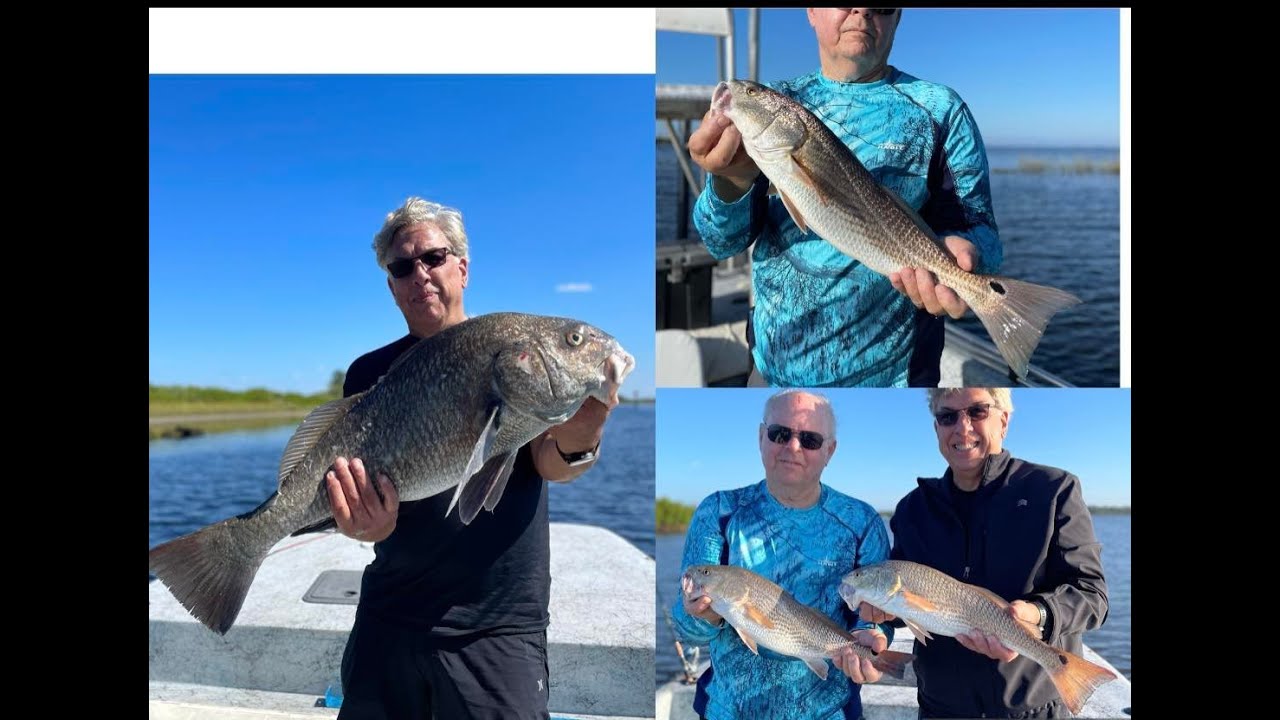 20+ November Redfish/Black Drum in Yankeetown - YouTube