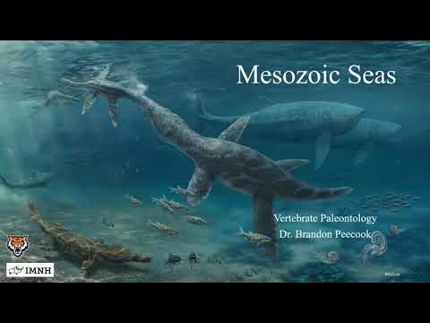 Lecture 23: Mesozoic Seas (April 2) - YouTube