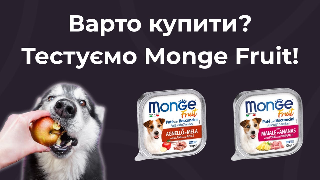 👀 Огляд вологого корму MONGE FRUIT | м’ясо + фрукти! 🤔 - YouTube