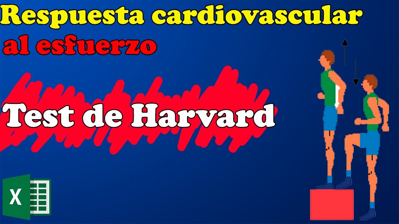 Respuesta Cardiovascular Al Esfuerzo En Excel Test De Harvard Step respuesta-cardiovascular-al-esfuerzo-en-excel-test-de-harvard-step