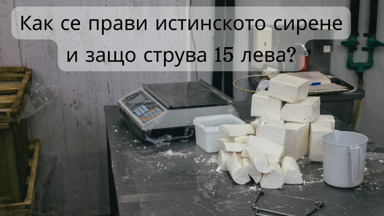 Как се прави истинското сирене и защо струва 15 лева Youtube