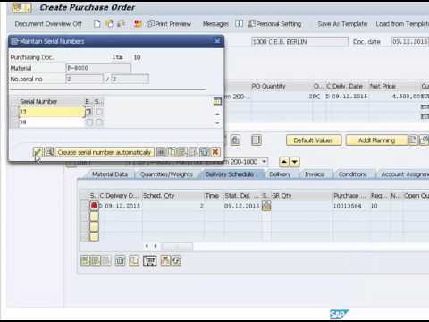 SAP PM - External Refurbishment - YouTube