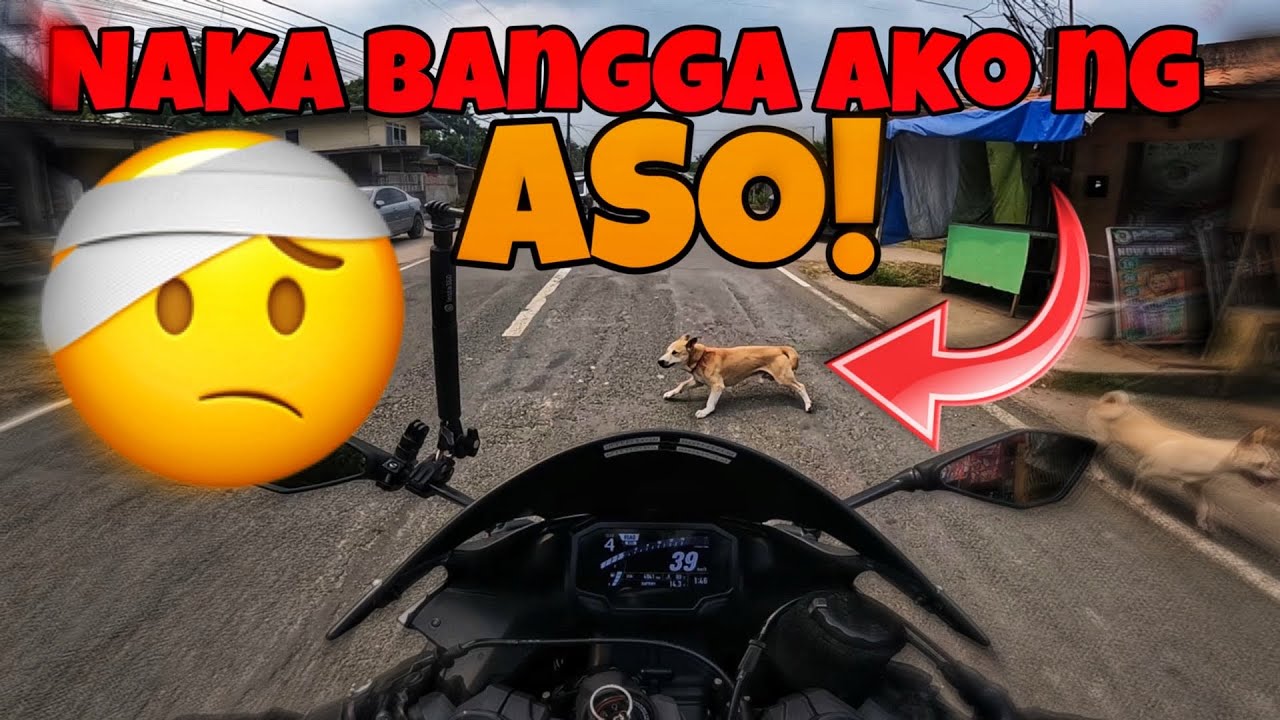 NAKABANGGA AKO NG ASO!!!🤕🤕🤕 - YouTube