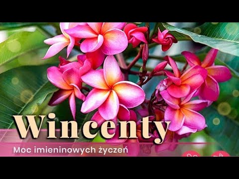 WINCENTY - ŻYCZENIA IMIENINOWE DLA CIEBIE - BEST WISHES