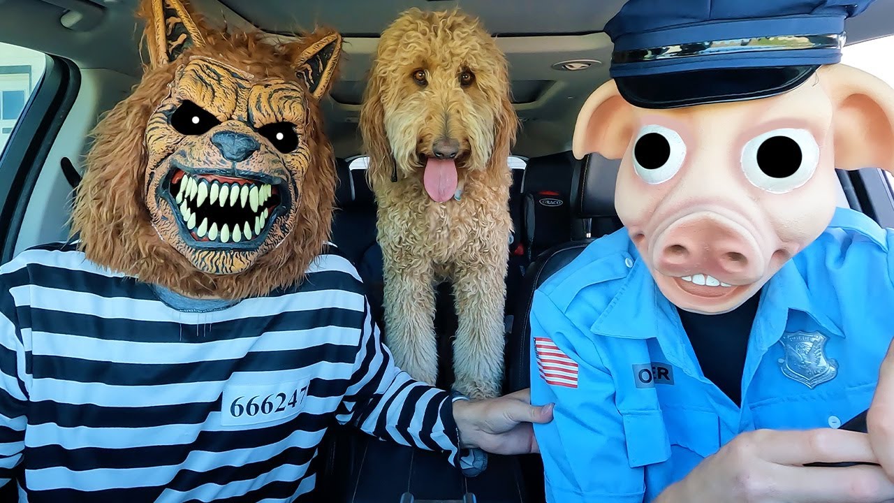 Wolf Surprises Puppy & Pig With Car Ride Chase! - YouTube